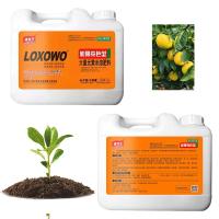 China Fast Release Potassium Sulphate Fertilizer Water Soluble Compound for sale