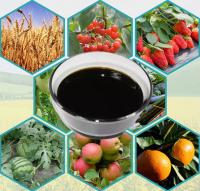 China Fast Release Potassium Sulphate Fertilizer Water Soluble Compound for sale