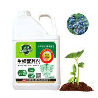 China Hydroponic Plant Root Fertilizer Flower Seedling Recovery Liquid Plant Fertilizer for sale