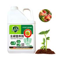 China Hydroponic Plant Root Fertilizer Flower Seedling Recovery Liquid Plant Fertilizer for sale