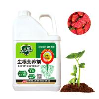 China Root Liquid Seaweed Fertilizer With Plant Growth Regulator for sale