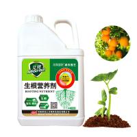 China 10% K2o Potassium Humate Fertilizer For Horticultural Plants Root Growth for sale