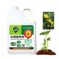 China 10% K2o Potassium Humate Fertilizer For Horticultural Plants Root Growth for sale
