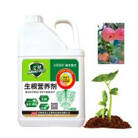 China 10% K2o Potassium Humate Fertilizer For Horticultural Plants Root Growth for sale