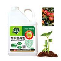 China Potassium Humate 100% Soluble Plant Root Fertilizer For Agriculture for sale
