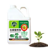 China Potassium Humate 100% Soluble Plant Root Fertilizer For Agriculture for sale