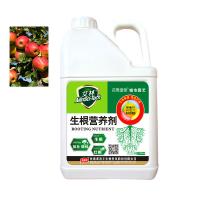 China Potassium Humate 100% Soluble Plant Root Fertilizer For Agriculture for sale