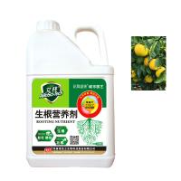 China Hydroponic Plant Root Fertilizer Flower Seedling Recovery Liquid Plant Fertilizer for sale