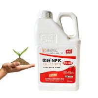 China 100% NPK Water Soluble Fertilizer For Agricultural for sale