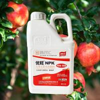 China NPK 15 15 15 Water Soluble Fertilizer 12-10-18 Composite Fertilizer NPK Liquid Fertilizer For Plant Growth for sale