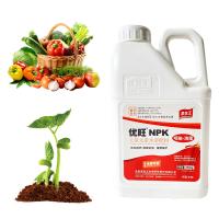 China Vegetables NPK Water Soluble Fertilizer 19-19-19 Compound NPK Fertilizer For Agricultural Crops Fruits for sale