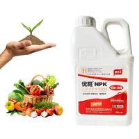 China Vegetables NPK Water Soluble Fertilizer 19-19-19 Compound NPK Fertilizer For Agricultural Crops Fruits for sale