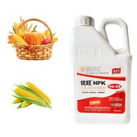 China Vegetables NPK Water Soluble Fertilizer 19-19-19 Compound NPK Fertilizer For Agricultural Crops Fruits for sale