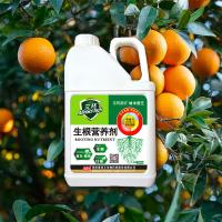 China Alginate Plant Roots Seaweed Extract Fertilizer To Promote Plant Growth for sale
