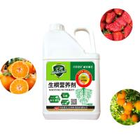 China Plant Root Growth Promoter Organic Liquid Fertilizer for sale