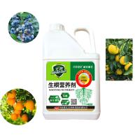 China Soil Improver Plant Growth Booster Nutrient Enhancer for sale