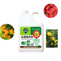 China Alginate Plant Roots Seaweed Extract Fertilizer To Promote Plant Growth for sale