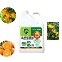 China 99% Pure Magic PR Plant Root Fertilizer Growth Promoter Organic Fertilizer for sale