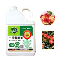 China Liquid Universal Type Vigor Element Plant Root Fertilizer Plant Nutrient for sale