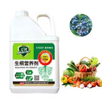 China Natural Plant Root Fertilizer For Family High Bed Gardens Microbial Organic Fertilizer for sale
