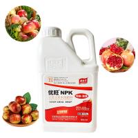 China Water Soluble Balanced NPK Compound Fertilizer 19-19-19 With Trace Elements for sale