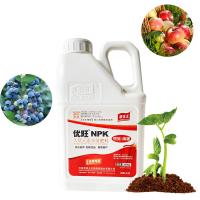 China Water Soluble Balanced NPK Compound Fertilizer 19-19-19 With Trace Elements for sale