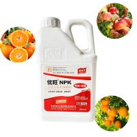 China Water Soluble Balanced NPK Compound Fertilizer 19-19-19 With Trace Elements for sale
