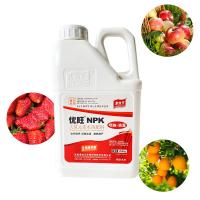 China 19-19-19 100% NPK Water Soluble Fertilizer Liquid Agriculture for sale