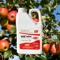 China 19-19-19 100% NPK Water Soluble Fertilizer Liquid Agriculture for sale