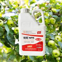 China NPK 19-19-19 Water Soluble NPK Vegetable And Fruit Fertilizer for sale