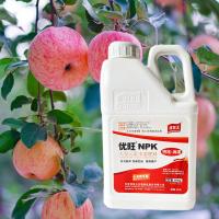 China NPK 19-19-19 Water Soluble NPK Vegetable And Fruit Fertilizer for sale