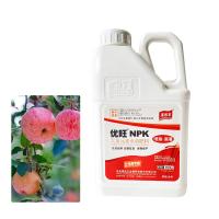 China 100% Organic Water Soluble Fertilizer OEM ODM 19-19-19+Te NPK Fertilizer for sale