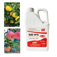 China 100% Organic Water Soluble Fertilizer OEM ODM 19-19-19+Te NPK Fertilizer for sale