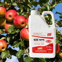 China 100% Organic Water Soluble Fertilizer OEM ODM 19-19-19+Te NPK Fertilizer for sale
