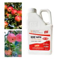 China Agricultural NPK Water Soluble Fertilizer Seaweed Extract Powder Plant Seaweed Fertilizer NPK19-19-19 for sale