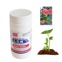 China Humic Acid Chemical Seaweed Extract Fertilizer Enriches Crop Yield for sale