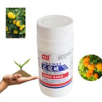 China Farm Humic Acid Fertilizer Organic Specific Fertilizer Amino Acid 30% Salt Free Chloride Free for sale