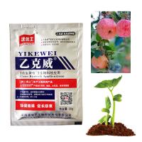 China Organic Humic Acid Fertilizer Water Soluble Foliar Drip Irrigation Agricultural Vegetables Fruit Trees for sale