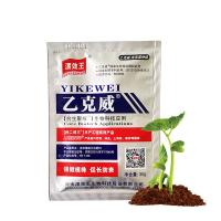 China Organic Humic Acid Fertilizer Water Soluble Foliar Drip Irrigation Agricultural Vegetables Fruit Trees for sale