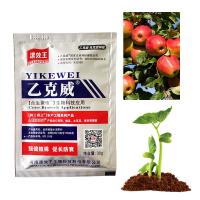 China Organic Humic Acid Fertilizer Water Soluble Foliar Drip Irrigation Agricultural Vegetables Fruit Trees for sale