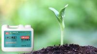 China Biological Microbial Inoculant Organic Fertilizer For Indoor Plant Growth Of Agricultural Products for sale