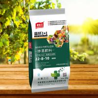 China 6-7 Agriculture Humic Acid Powder Biological Organic Fertilizer Nano Fertilizer Fulvic Acid Foliar Spray Fertilizer for sale