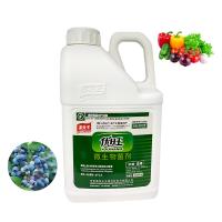 China Self Operated Biotechnology Organic Compound Microbial Fertilizer for sale