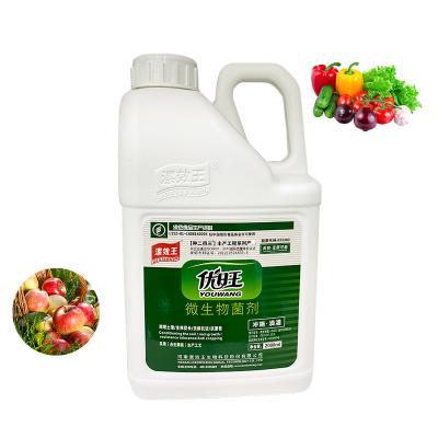 China Granular Microbial Inoculant Organic Fertilizer Soil Amendments For Agriculture And Orchards for sale