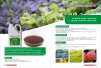 China Soil Improvement Microbial Agents For Cotton Wheat Rice Corn Potatoes And Legumes Microbial Preparations for sale