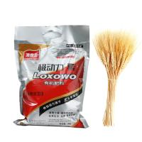 China Slow Release Enhanced Efficiency Fertilizers For Plants And Vegetables for sale