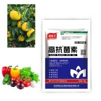 China Plants Containing Humic Acid Blended Fertilizer Fast Nutrient Supplement for sale