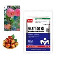 China Plants Containing Humic Acid Blended Fertilizer Fast Nutrient Supplement for sale