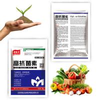 China Organic Soil Conditioner Blended Fertilizer Humic Amino Acid Shiny Ball for sale