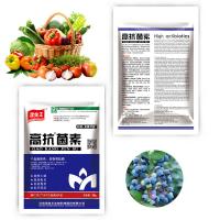 China Organic Soil Conditioner Blended Fertilizer Humic Amino Acid Shiny Ball for sale